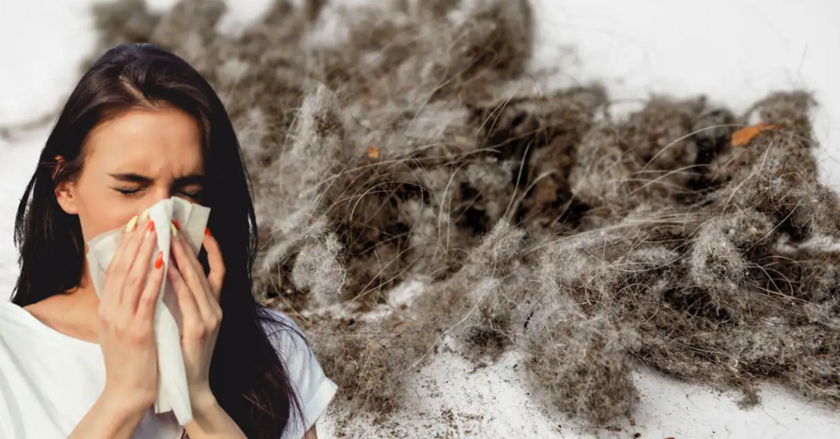 Dust—What Is It and How Does It Affect Your Home? | COIT Cleaning and ...